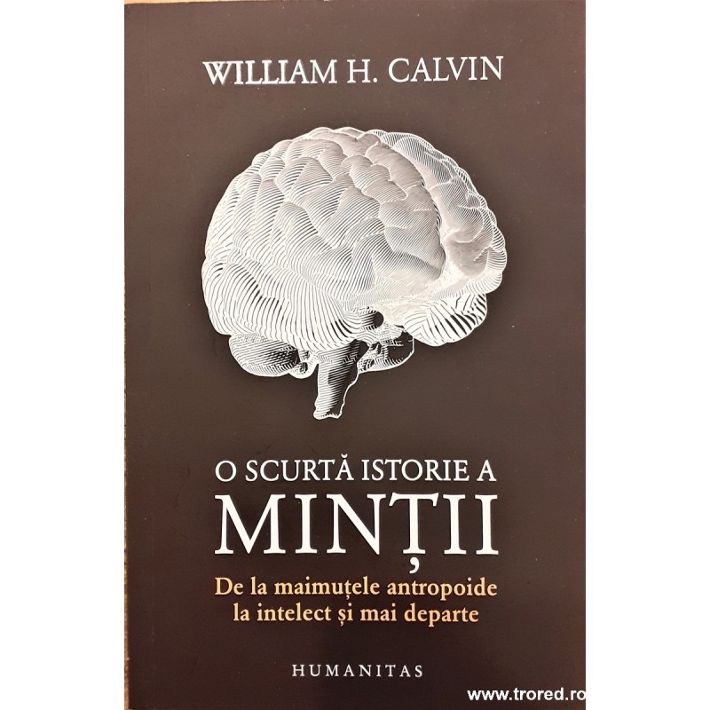 O scurta istorie a mintii De la maimutele antropoide la intelect si mai ...